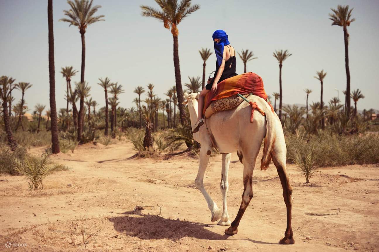 Discover Marrakech: Camel Ride in Palmeraie - Desert Adventure - Klook