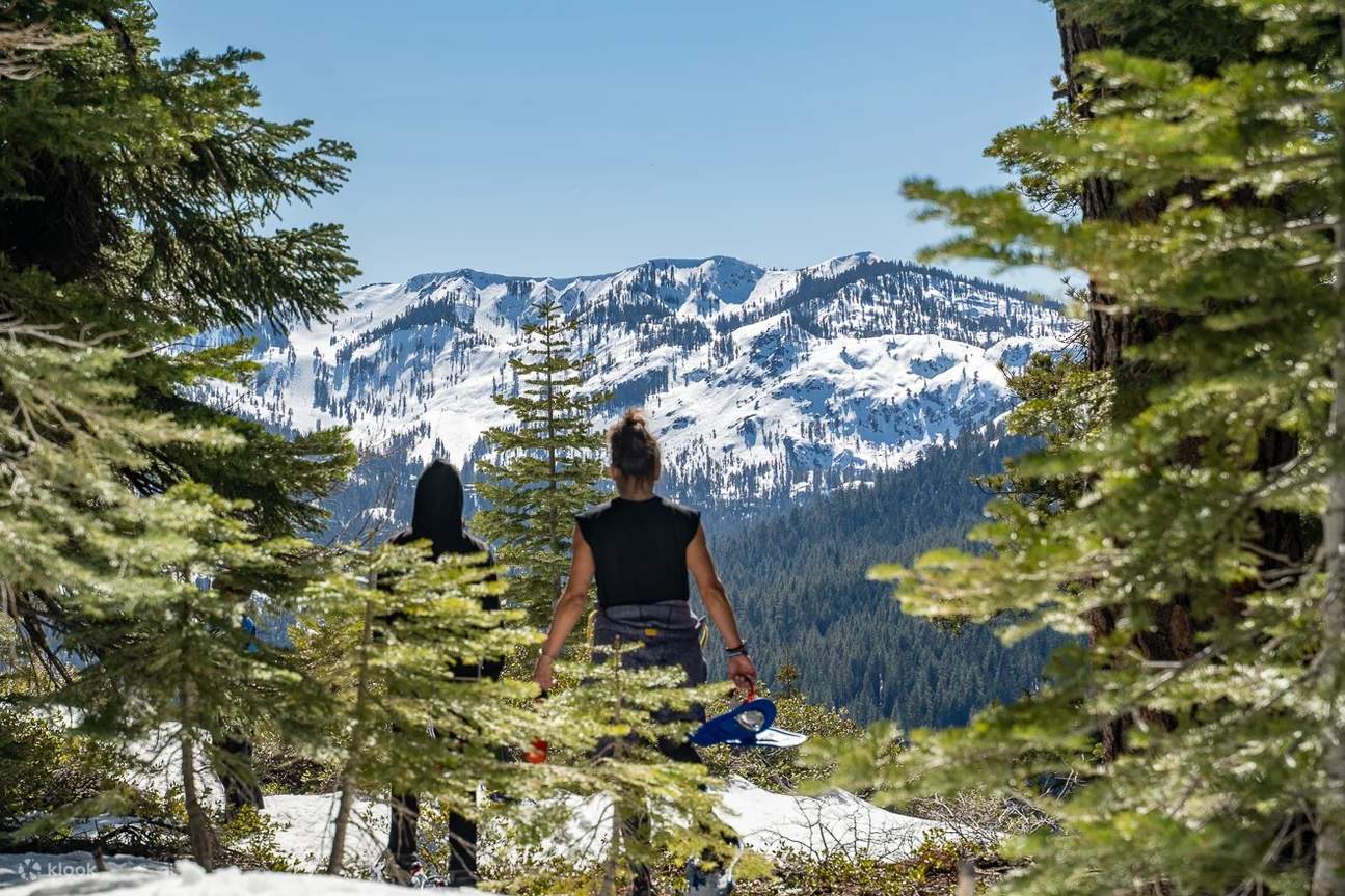 Palisades Point Half-Day Snowshoeing Hike in Lake Tahoe - Klook Estados ...