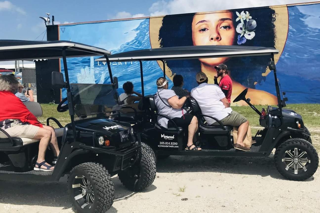 Wynwood Art District 1-Hour Street Art Tour by Golf Cart - Klook India
