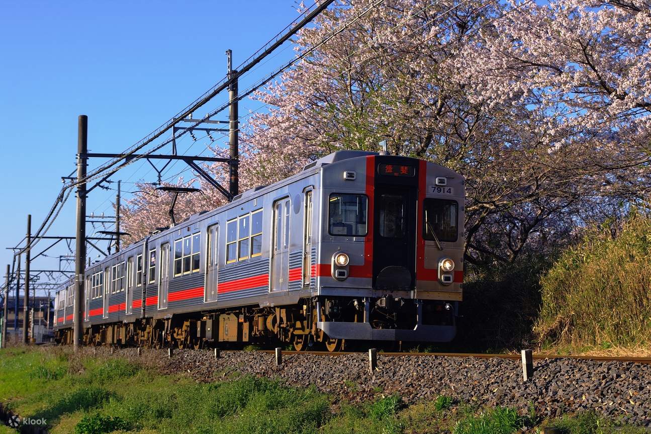 Amazing Sakura 1 Day Tour with Charter Train and Boat from Nagoya - Klook