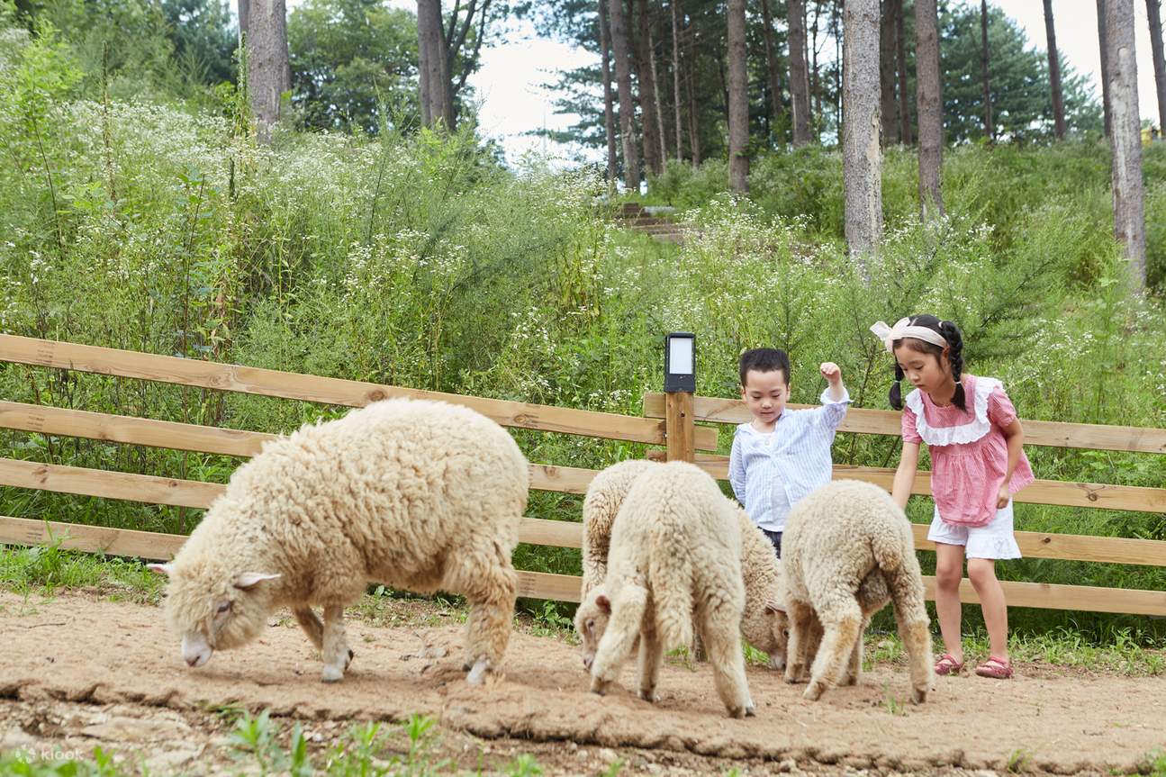 Alpaca World Round-trip Shuttle Bus - Klook Singapore