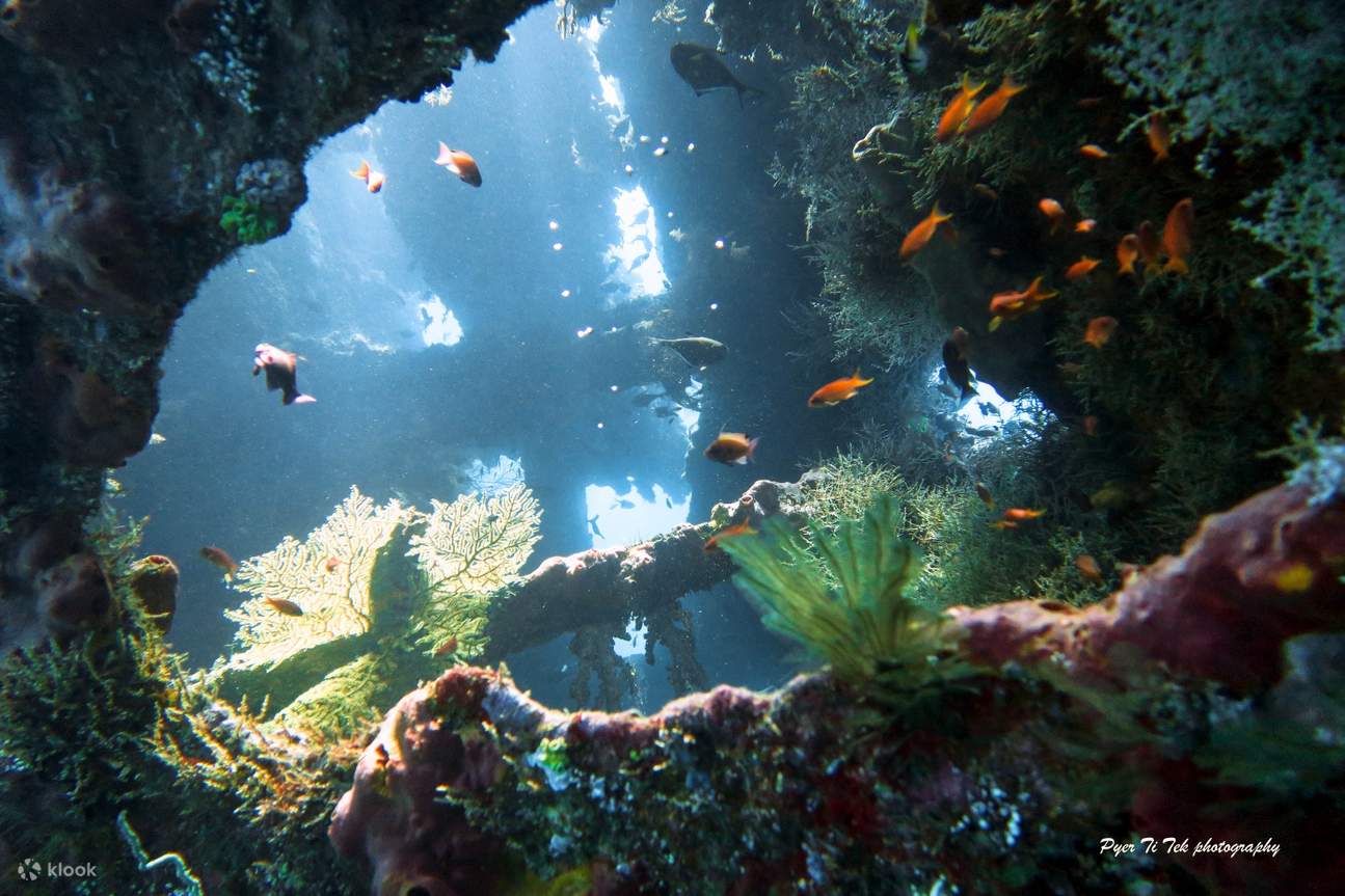 Beginner Scuba Diving Experience in East Bali by Dune Atlantis - Klook