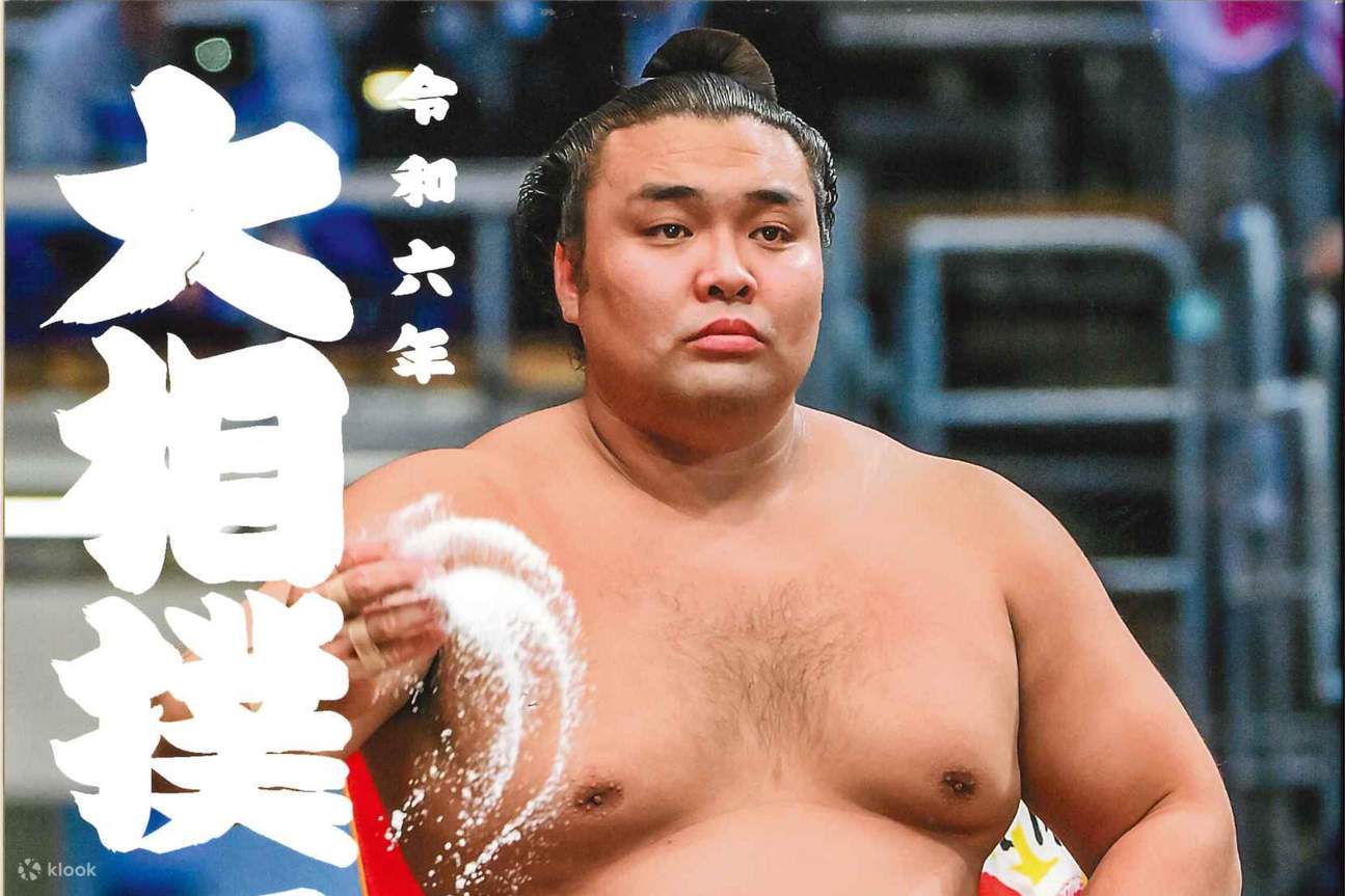 Nagoya: Grand Sumo Tournament with Castle Walking Tour - Klook Stati Uniti