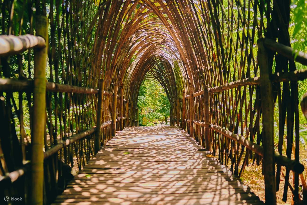 Palawan Dream Getaway: 5-Day Join-in Tour with Stress-Free Transfers ...
