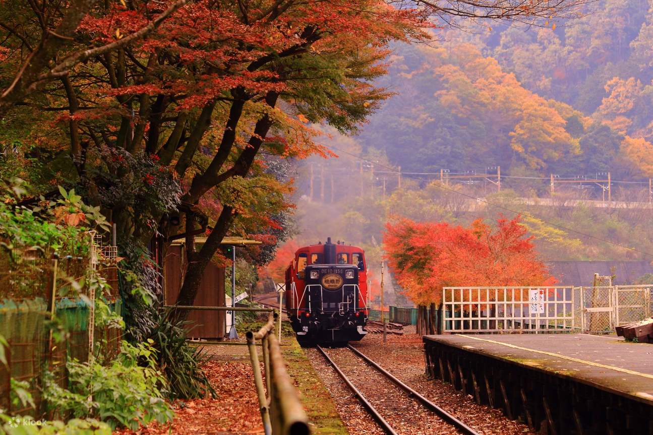 Kyoto City, Sagano Train, Arashiyama, & Shimogamo Shrine Day Tour ...