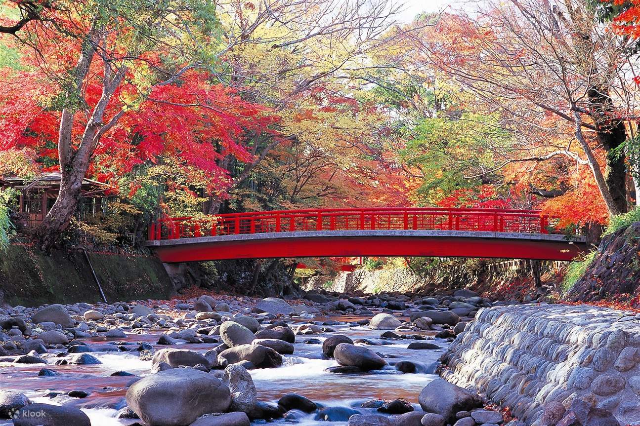 Shuzenji Nature Park & Shuzenji Onsen Bamboo Forest Path, Red Bridge ...