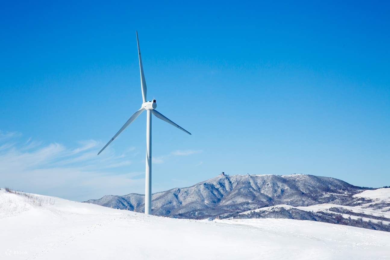 BTS ARMY Private Car Charter: BUTTER, BUS STOP, 2021 Winter package - Klook