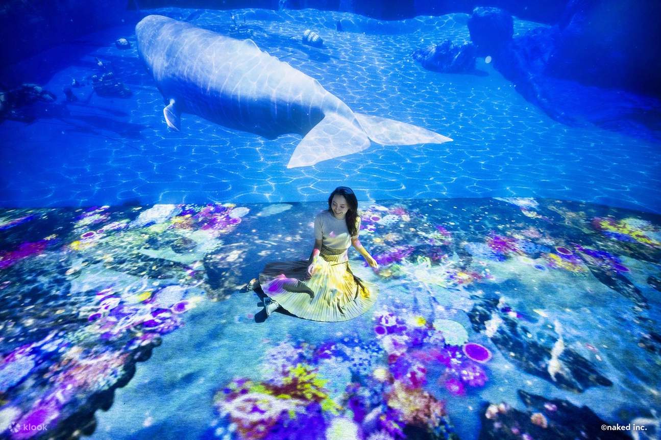 SJM presents : Macau Art City ·NAKED OCEAN - Klook