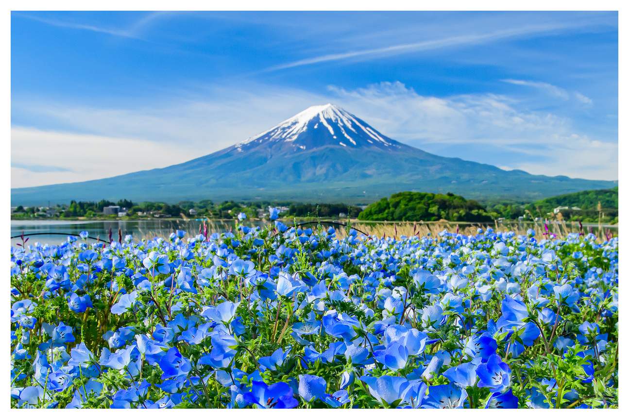 Tour panoramico diurno del Monte Fuji - Centro del patrimonio mondiale ...