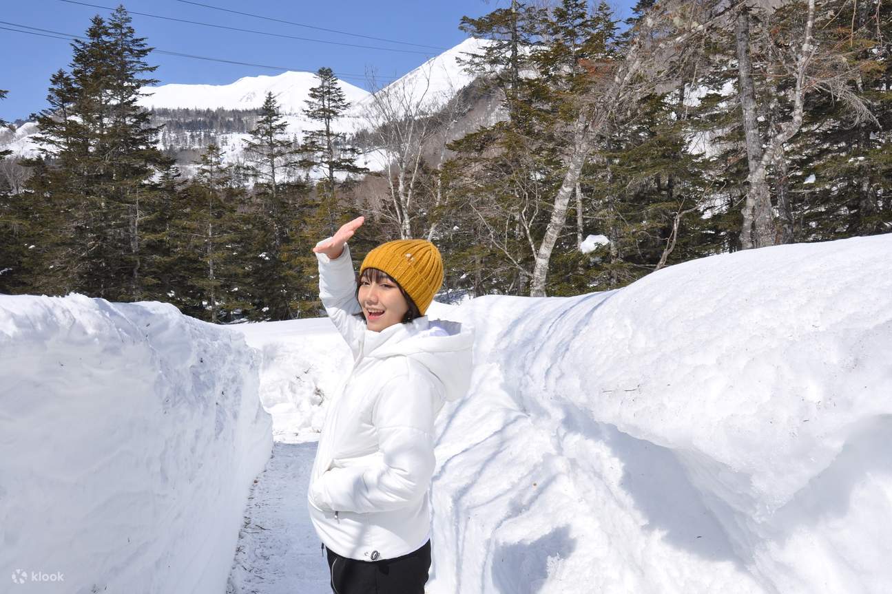 Hakuba Tsugaike Snow Wall & Shinshu's 2 Best Cherry Blossom Spots in ...