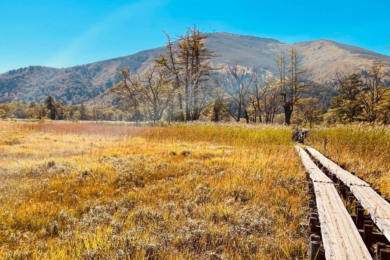 Oze Hiking Experience & Boko-no-Yu Hot Spring Day Trip (Depart from ...