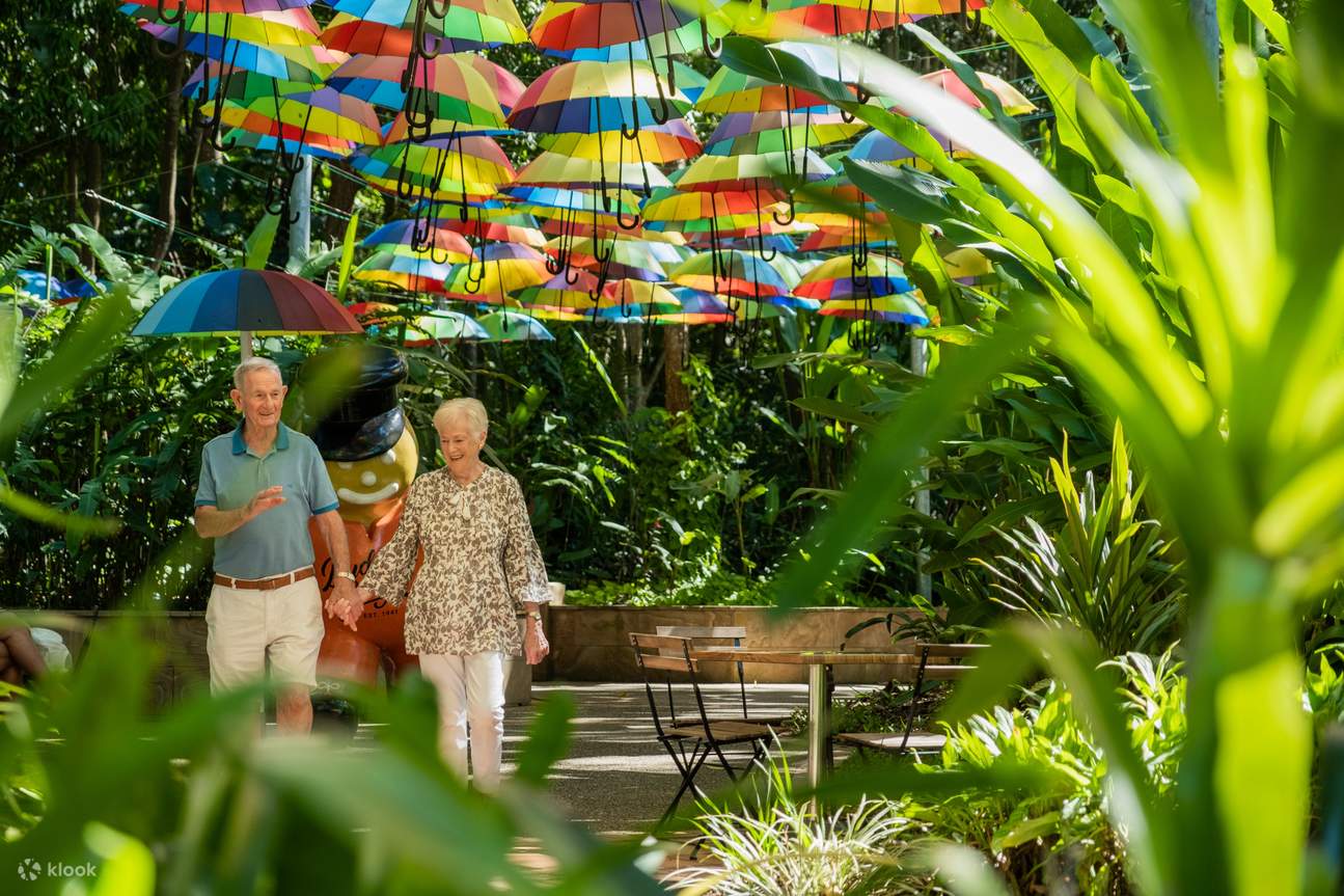 The Ginger Factory in Sunshine Coast - Klook Australia