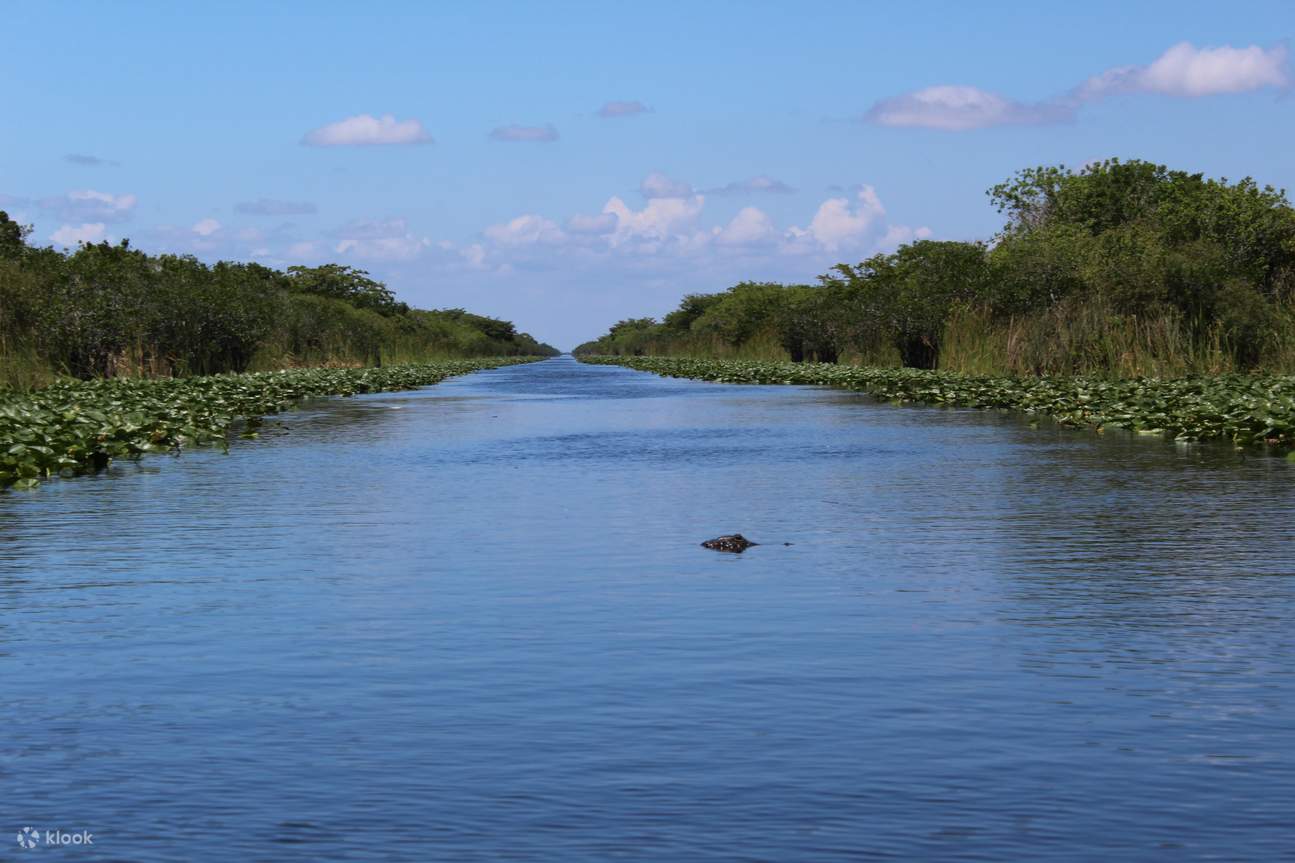 Explore Everglades Holiday Park: 4-Hour Adventure with Convenient ...