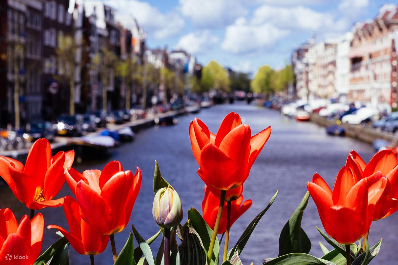 Amsterdam Scavenger Hunt and City Highlights Day Trip - Klook Singapore