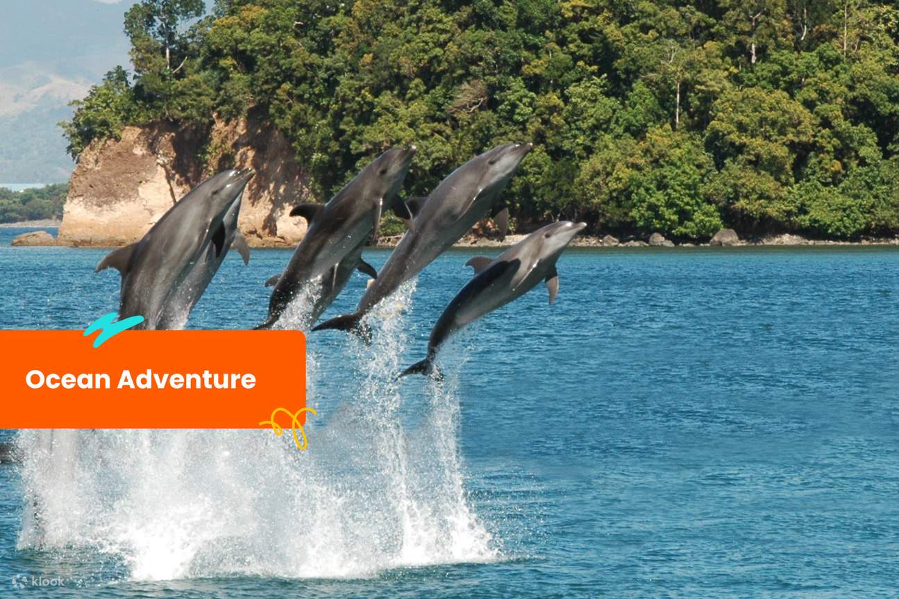 Klook Pass Luzon - Klook Philippines