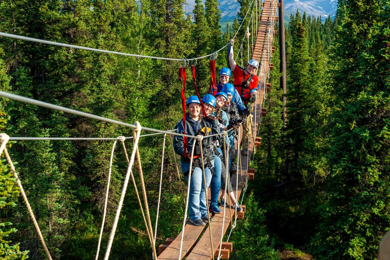 Zipline Adventure Tour in Denali Park - Klook