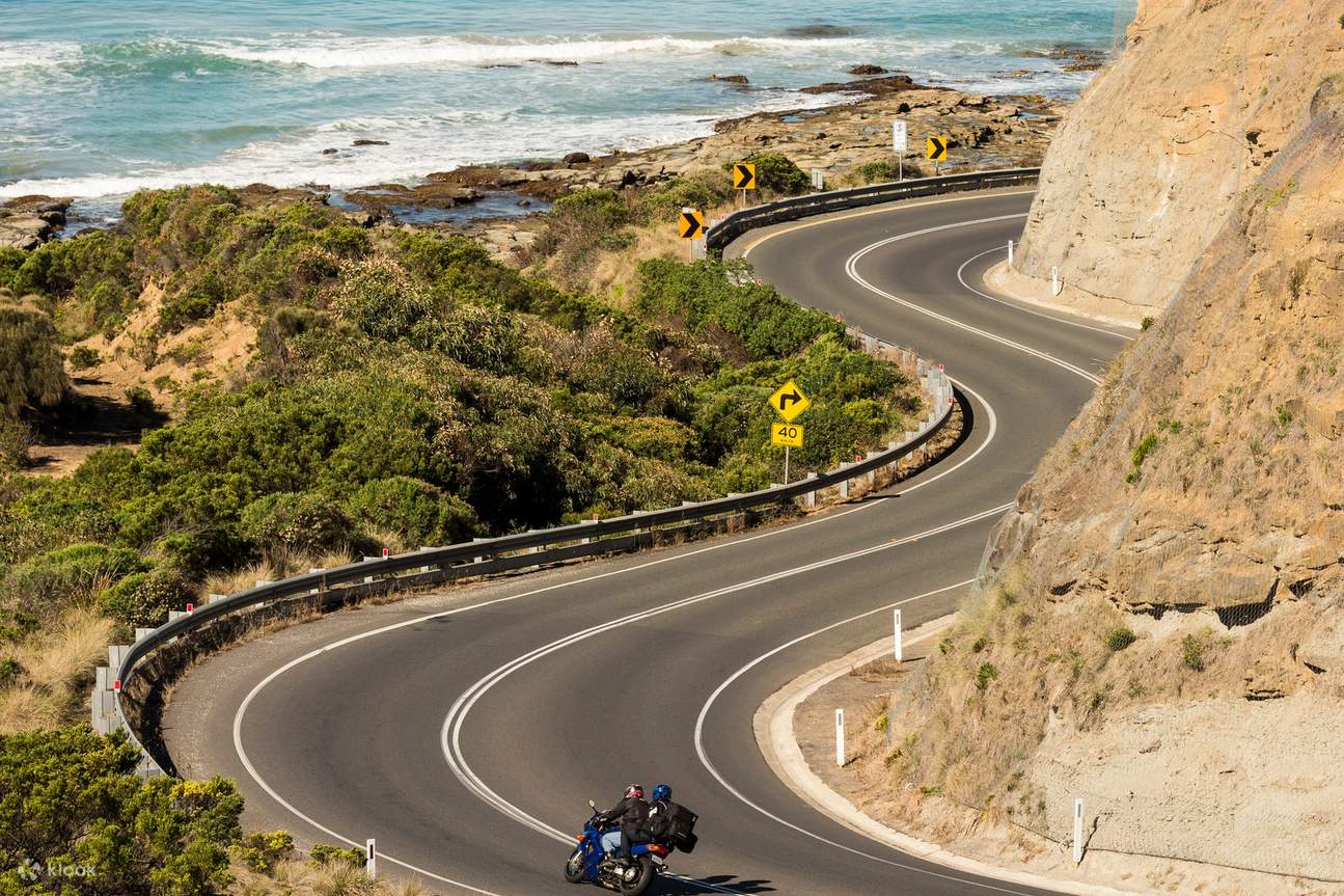 Great Ocean Road Foodies Tour with Chocolates, Gin, Seafood & Koalas ...