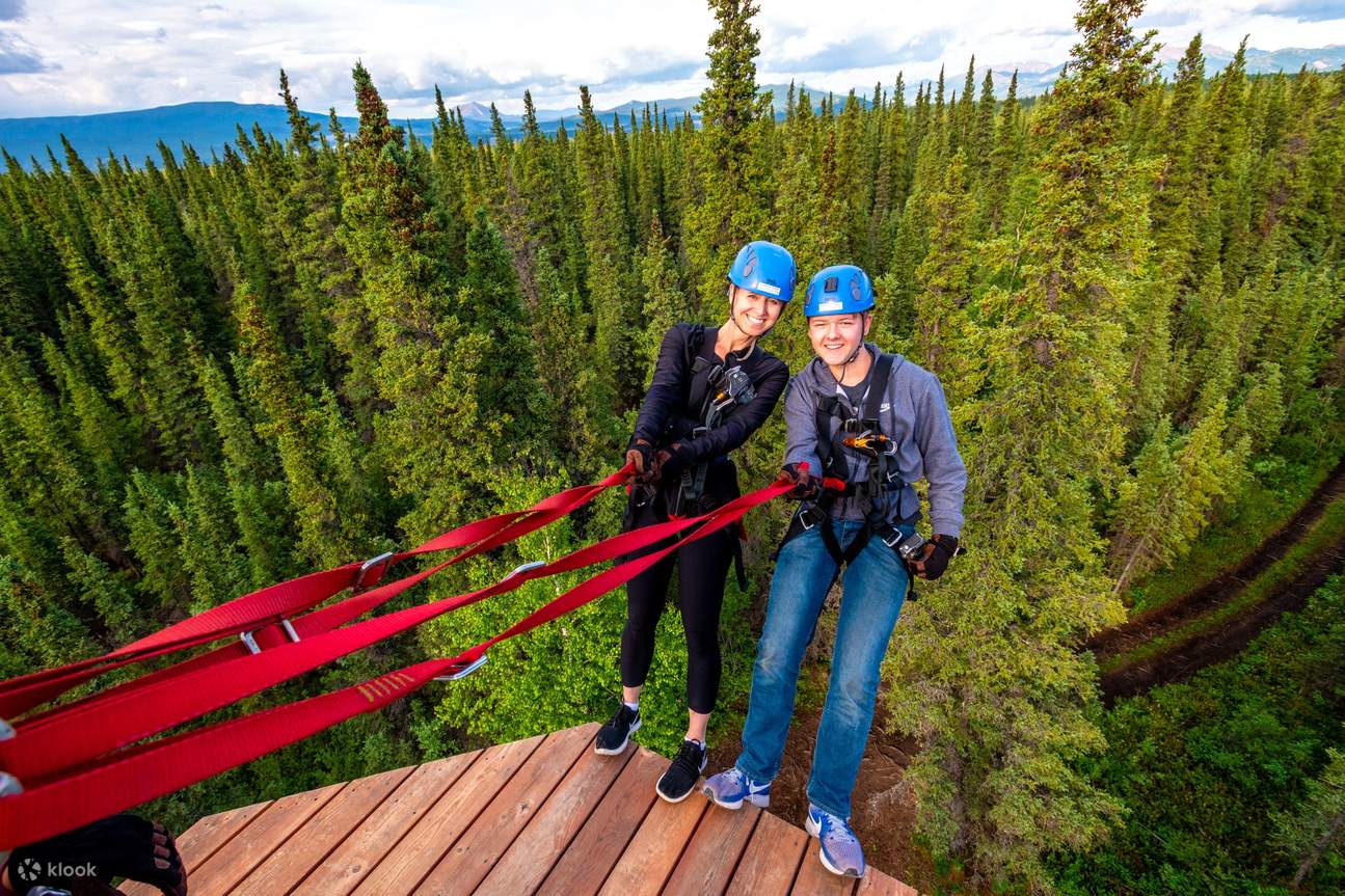Zipline Adventure Tour in Denali Park - Klook
