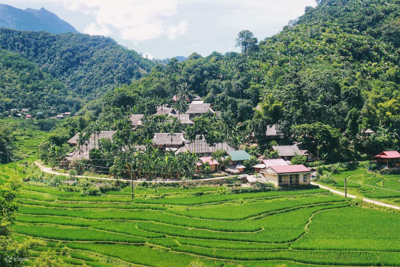 2D1N Pu Luong Nature Reserve Trekking Loop Tour from Ha Noi - Klook ...