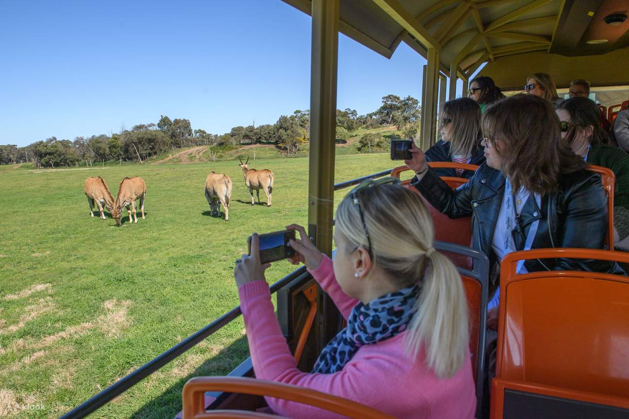 Werribee Open Range Zoo & Werribee Mansion Tour from Melbourne - Klook ...