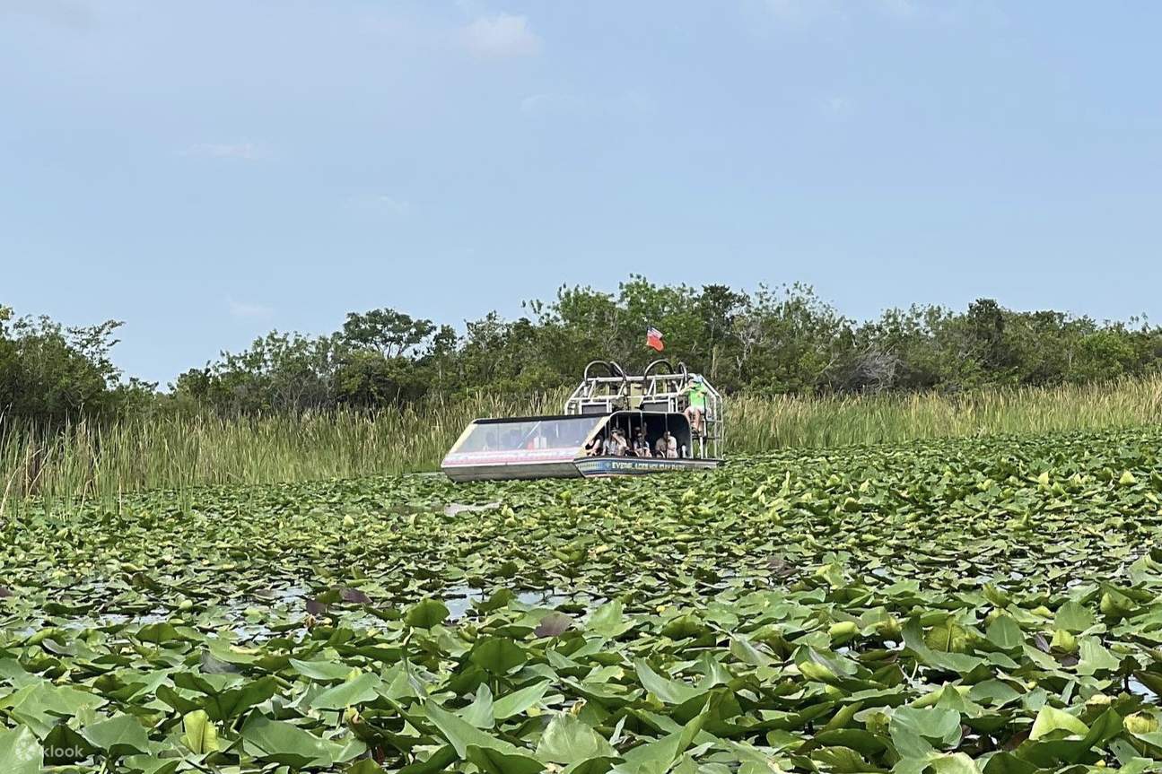 Everglades Tour from Miami - Klook Australia