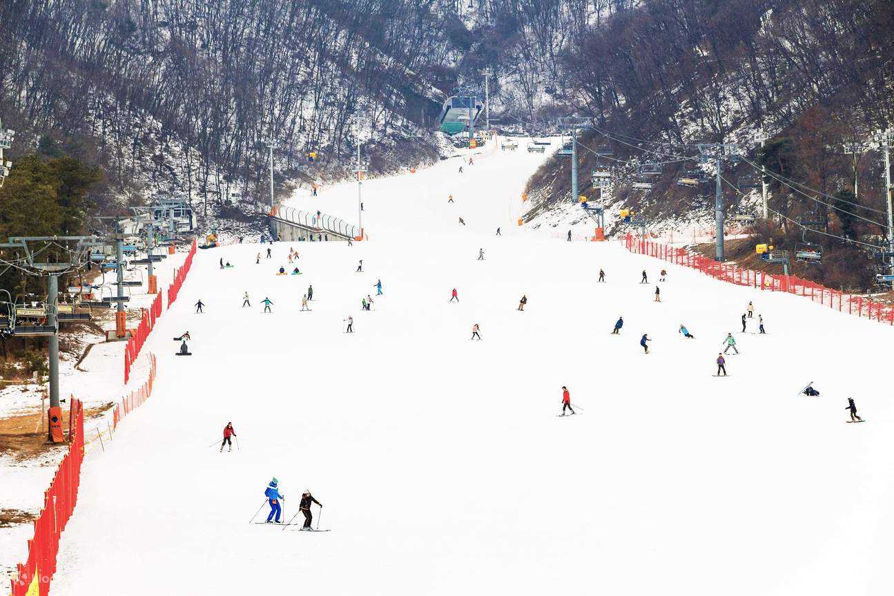 Jisan Forest Winter Ski Dagtocht vanuit Seoul - Klook Verenigde Staten
