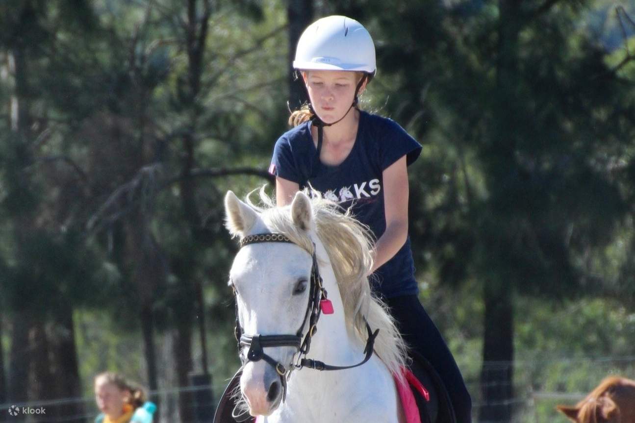 Farm Animals and Tour in Brisbane - Klook
