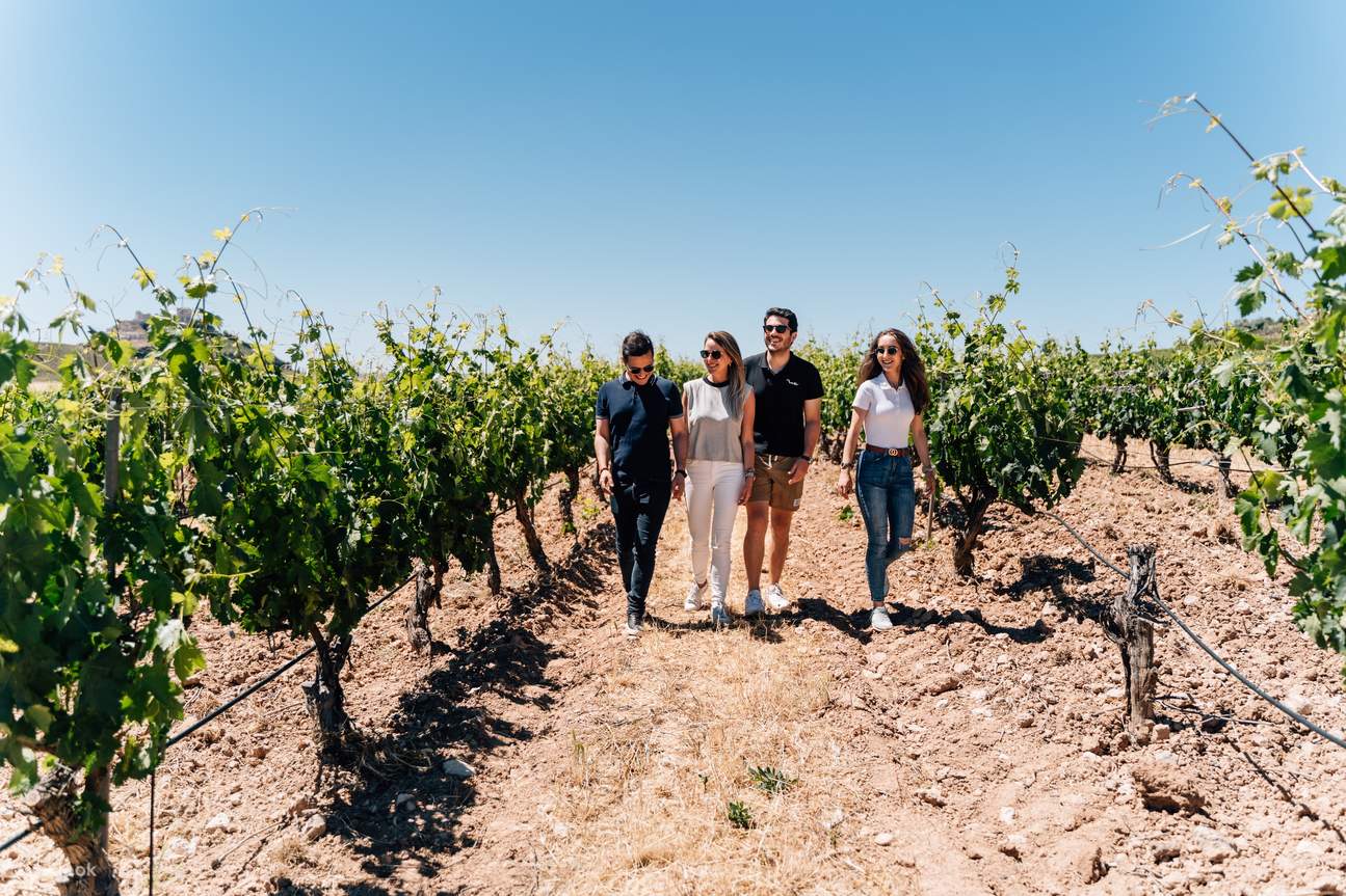 From Málaga: Ronda City Tour & Winery Experience with Wine Tasting - Klook