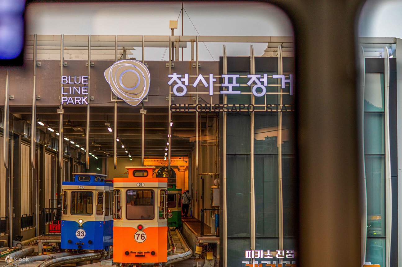 Time Travel Across Busan: Sky Capsule & Old Town Stories - Klook India