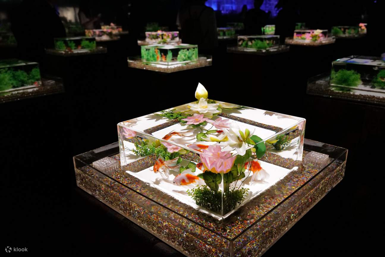 Art Aquarium Museum GINZA Admission Ticket - Klook United States