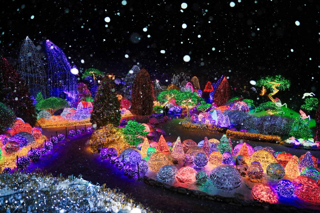 Starlight Festival of the Garden of Morning Calm - Klook United States