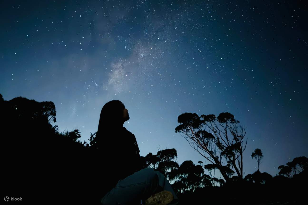 Blue Mountain Sunset & Stargazing Tour with Featherdale Zoo - Klook ...