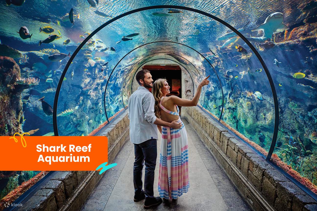 Klook Pass Las Vegas - Klook