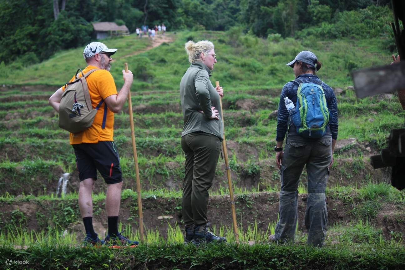 Visita turística y de senderismo a la cascada Wanderer Doi Inthanon ...