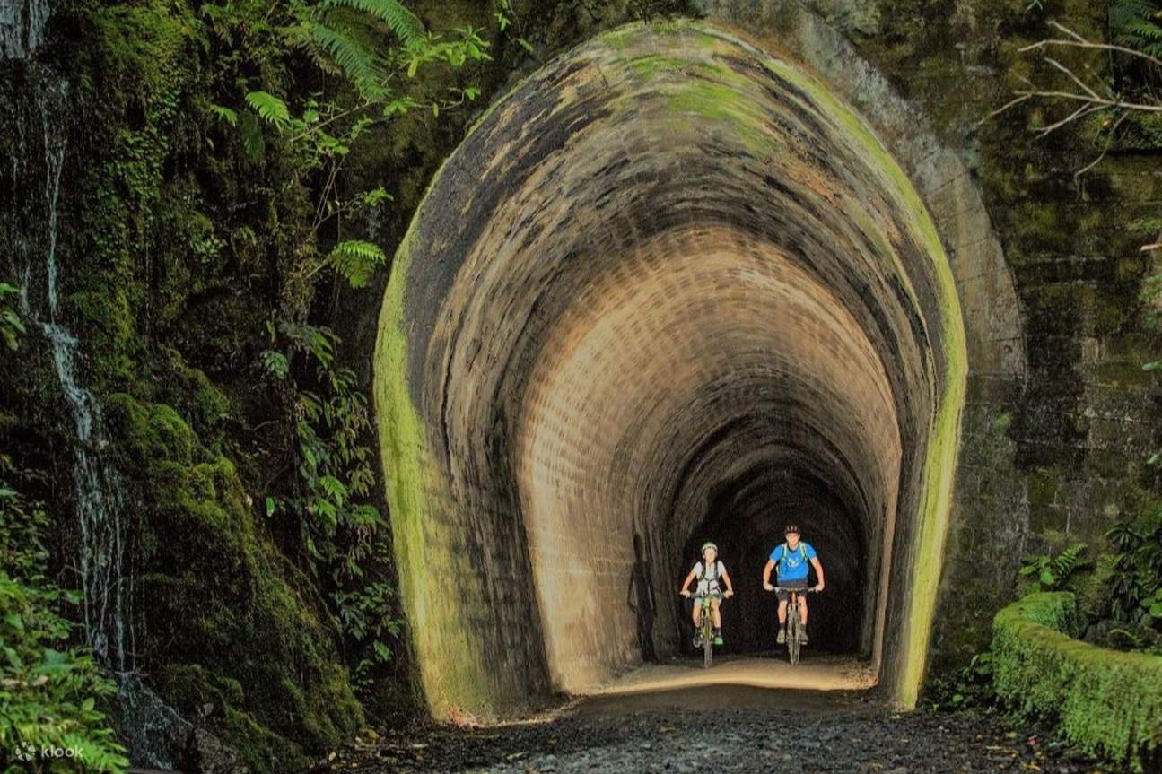 Remutaka Rail Trail Electric Bicycle Explorer - Klook