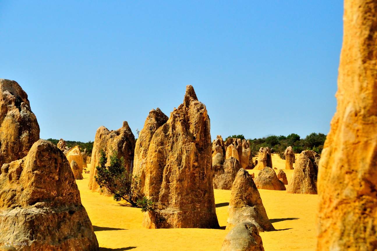 Perth 4D3N tour with Pink Lake and Rottnest Island (Chinese guide ...