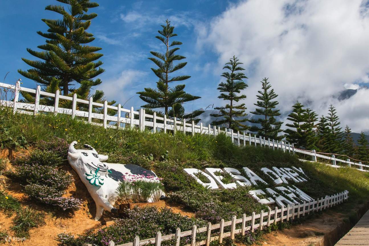 Lawatan Hari Ladang Gunung Kinabalu, Sabah, Malaysia - Klook Amerika ...
