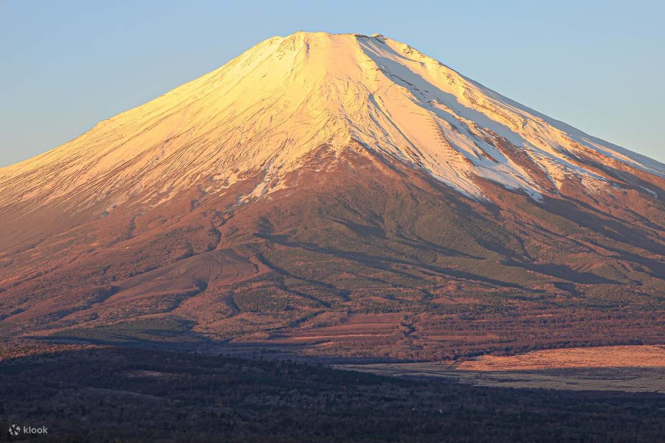 One-day flower viewing tour｜Mount Fuji flower viewing + Lawson ...