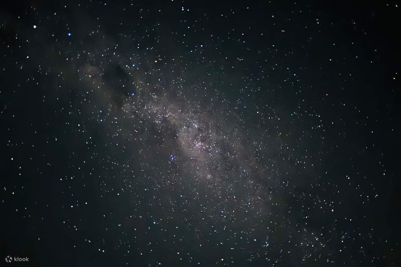 Blue Mountain Sunset & Stargazing Tour with Featherdale Zoo - Klook