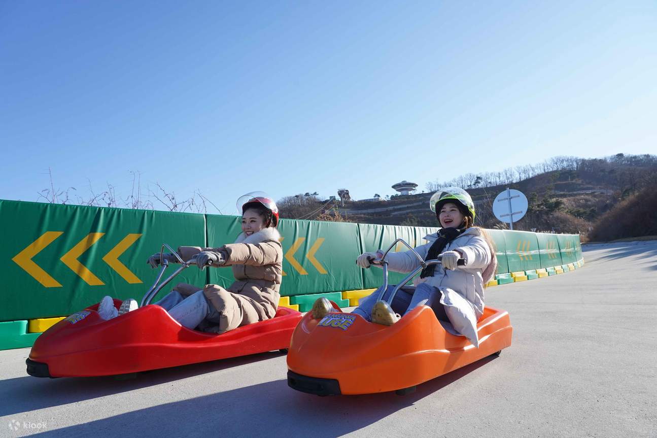 Incheon Ice Fishing & Sled Day Tour From Seoul - Klook
