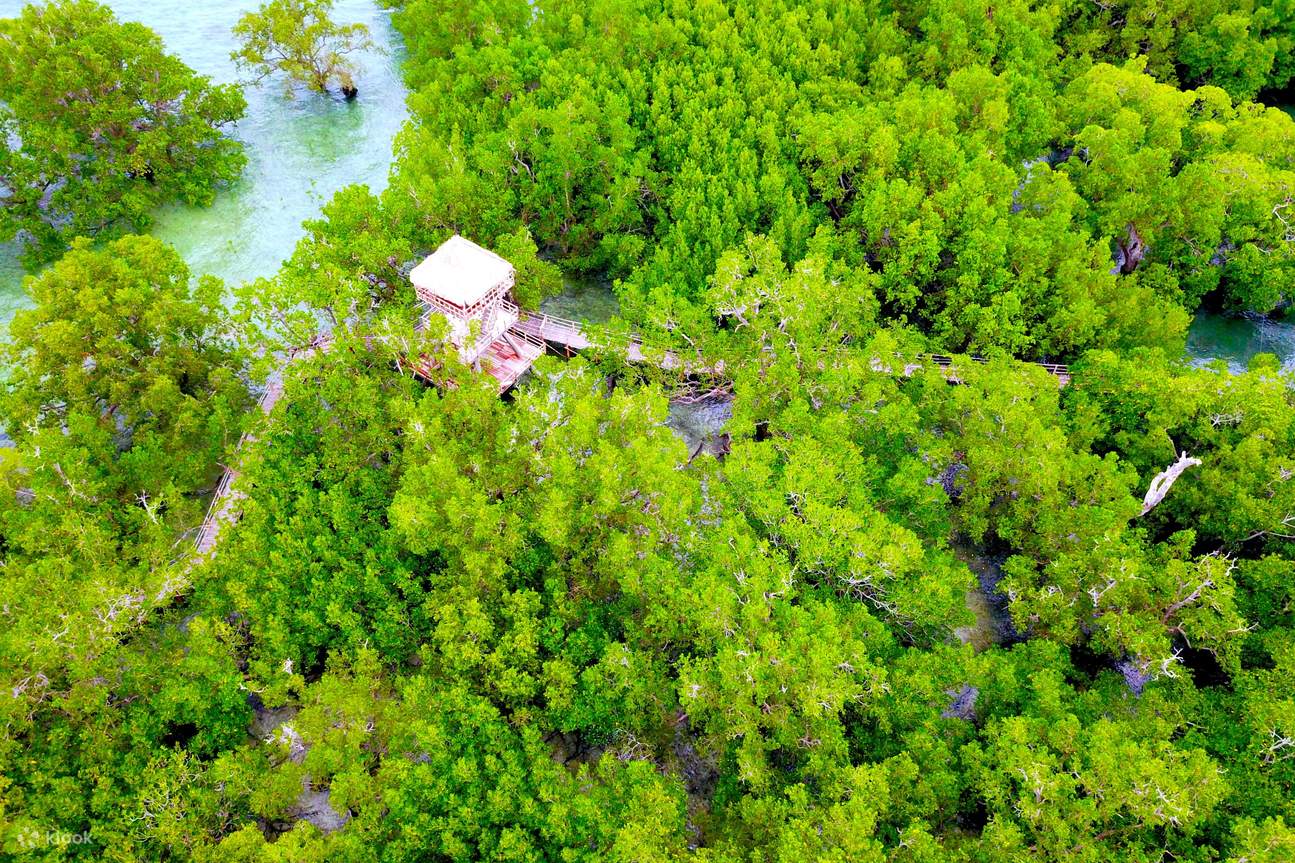 ทัวร์ชมแนวปะการัง Carbin Reef และเยี่ยมชมเกาะต่างๆ - Klook ประเทศไทย