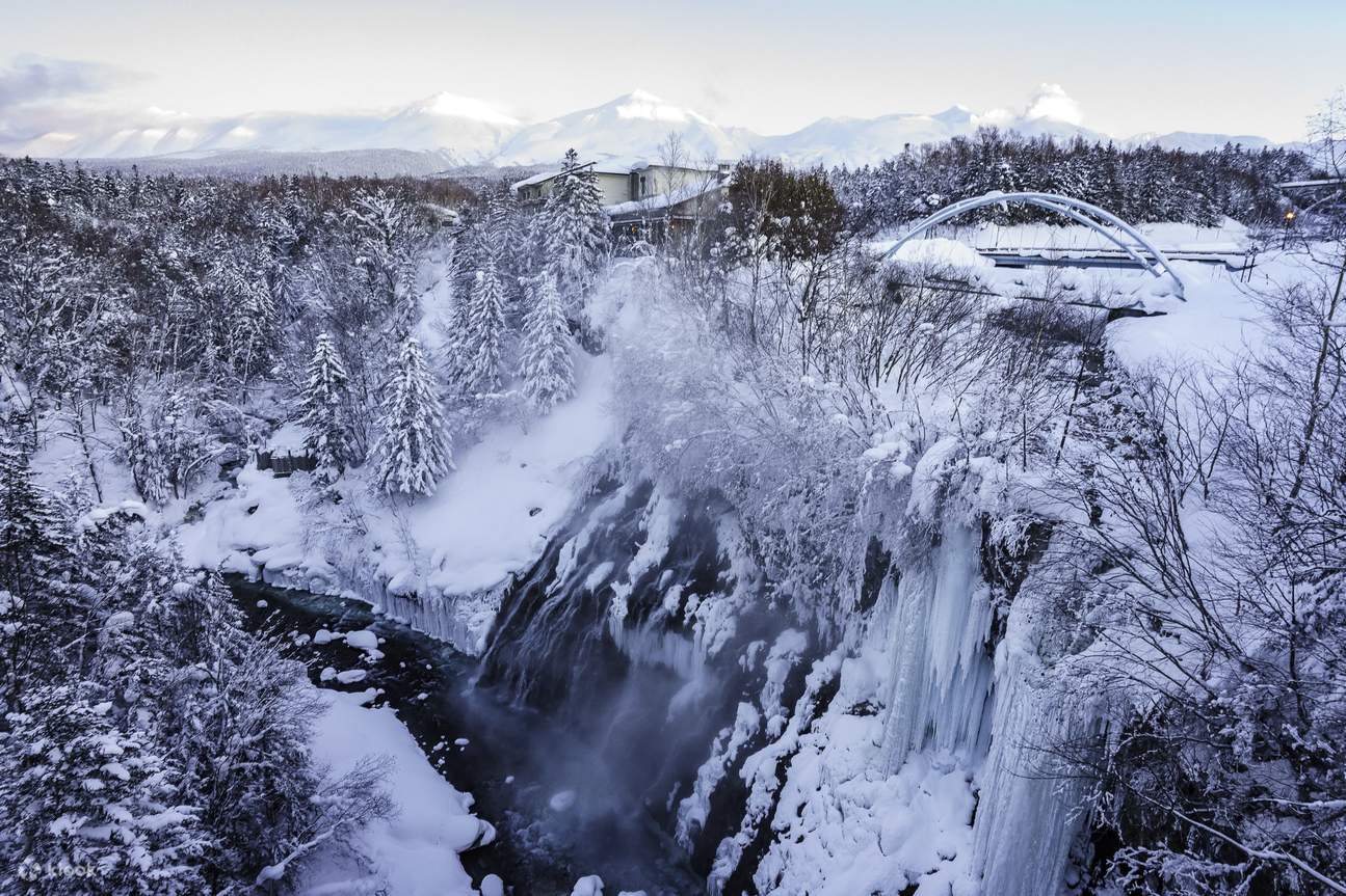 Hokkaido Biei Winter Blue Pond & Shirahige Falls Light-Up Day Trip ...