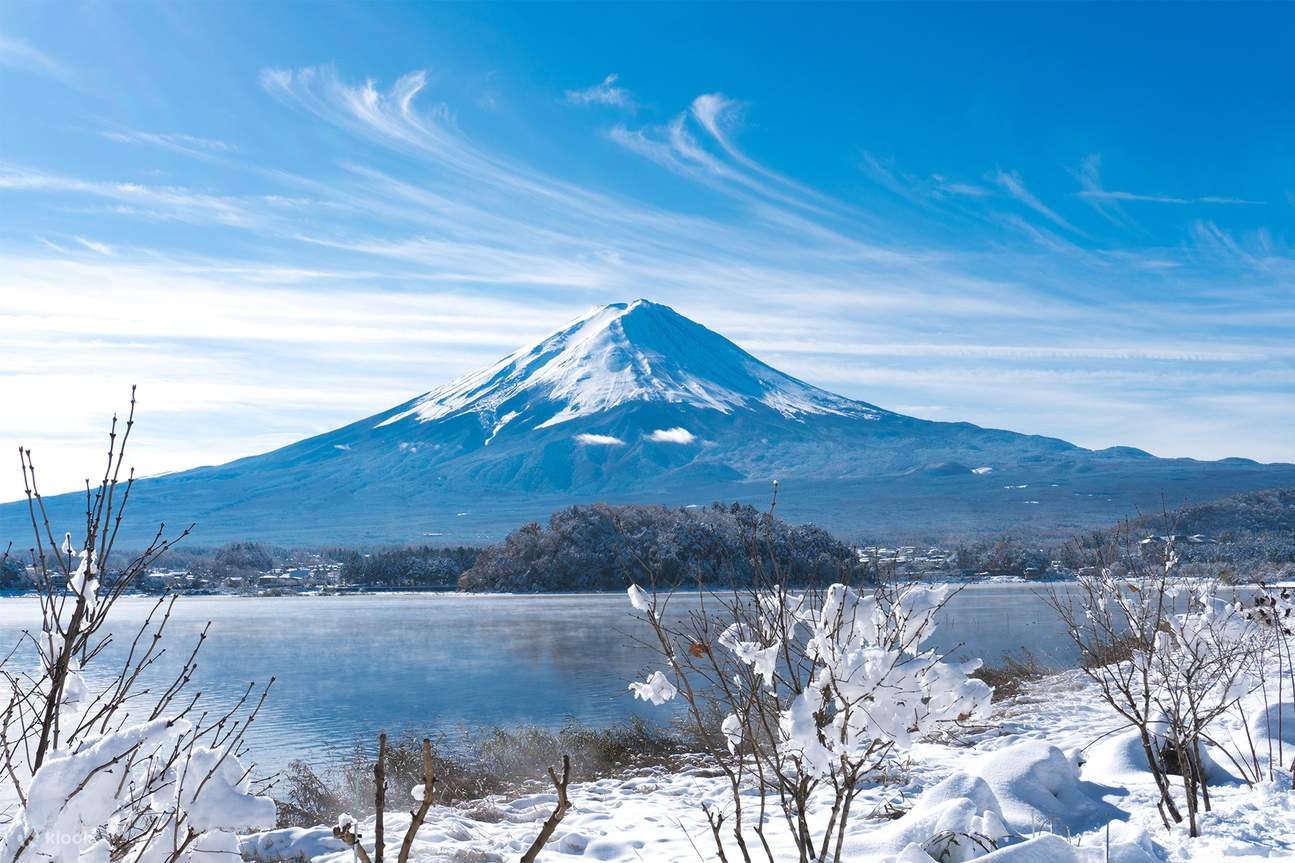 Mount Fuji, Owakudani, and Hakone Join In Bus Tour with Cherry Blossoms ...