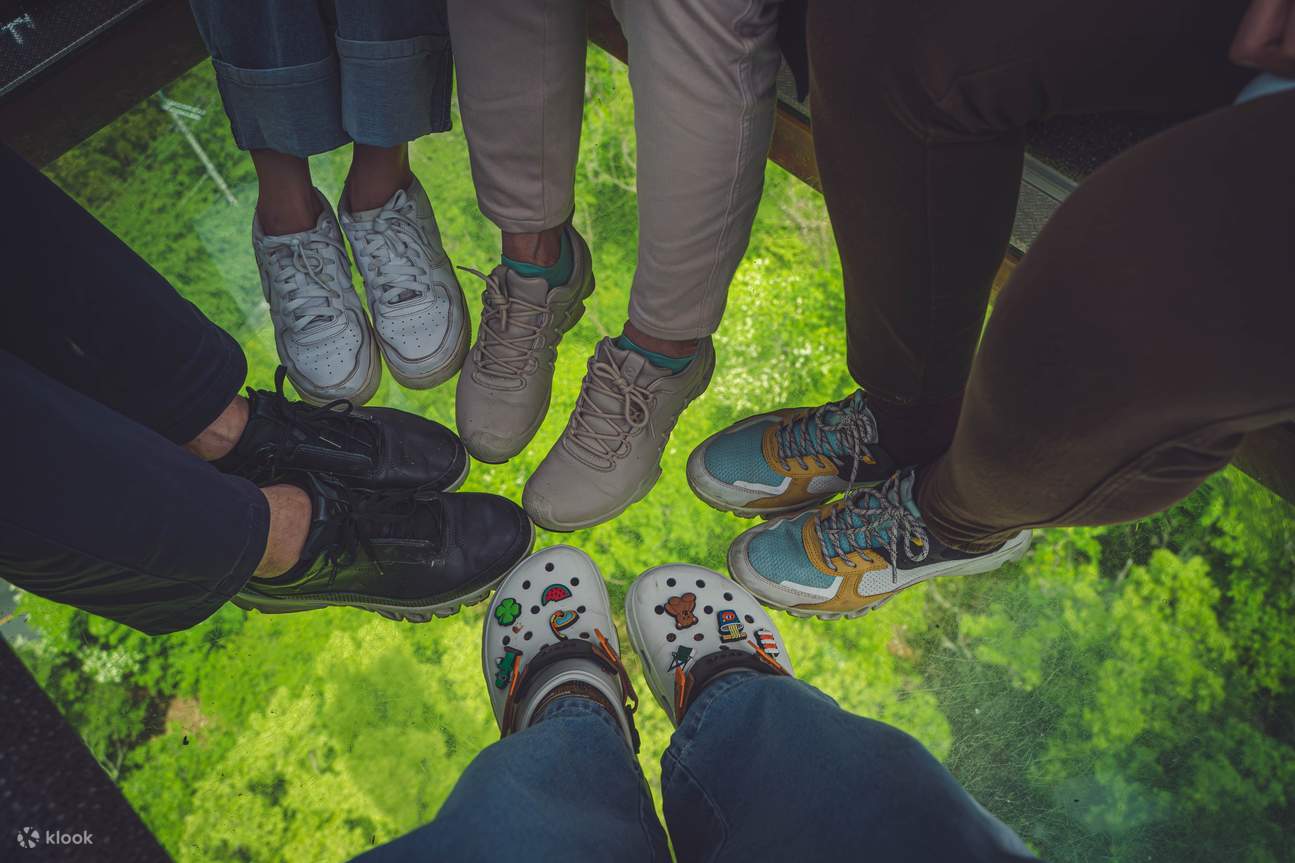 Oedo Botania + Geoje Panorama + Haegeumgang + Hill of Wind Tour - Klook ...