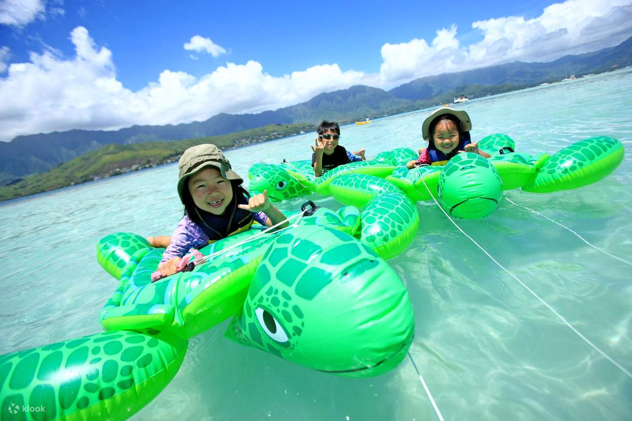 Kane'ohe Bay Sandbar Turtle Watching & Snorkeling Tour - Klook