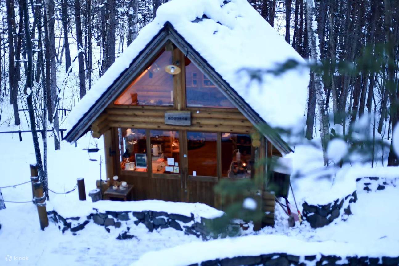 Hokkaido｜Asahikawa Zoo & Shikicai Hill & Biei Christmas Tree & Forest ...