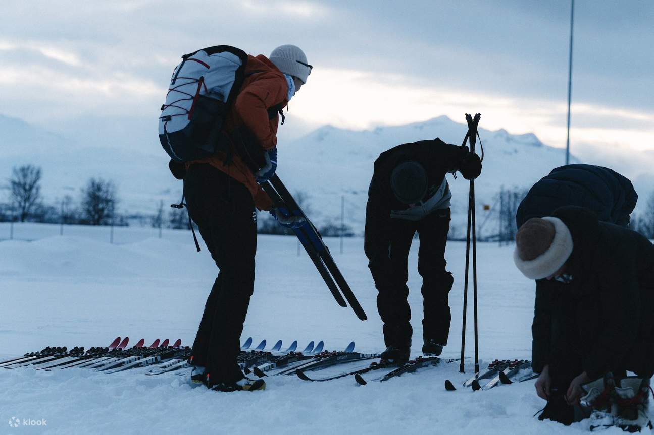 Cross-Country Ski Adventure in Tromsø with Equipment - Klook India