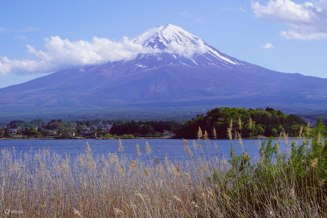 Mount Fuji Scenic Spot Day Tour｜Mount Fuji 5th Station or Sengen Park ...