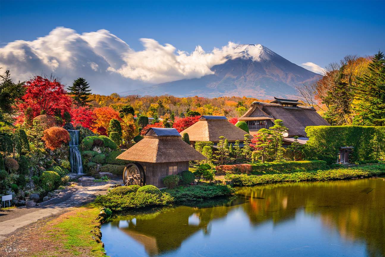 Tour panoramico diurno del Monte Fuji - Centro del patrimonio mondiale ...