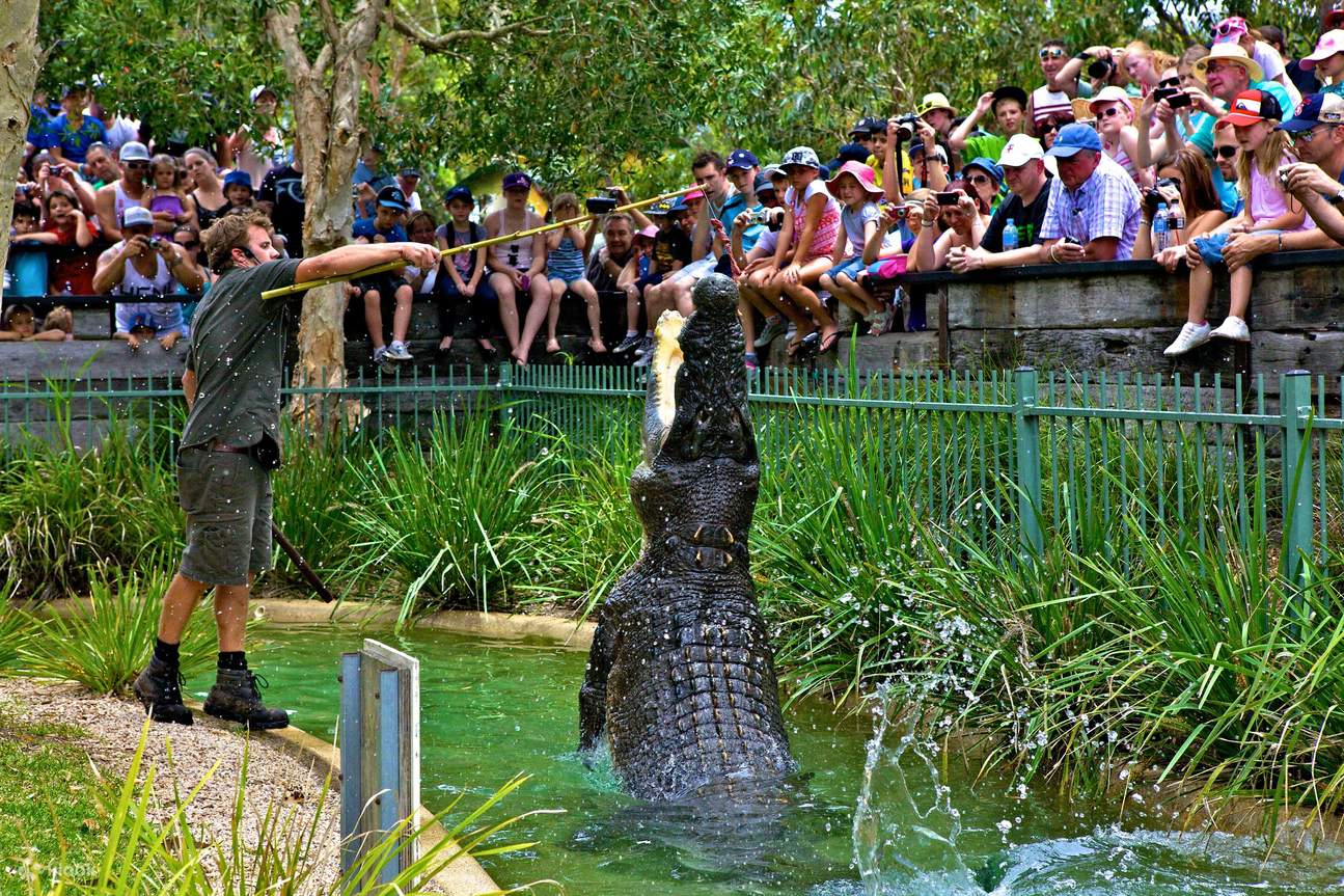 The Australian Reptile Park Ticket - Klook Australia